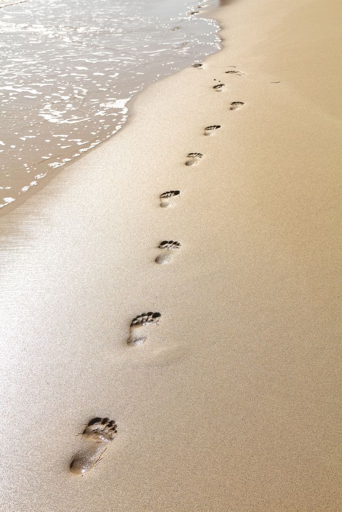 Spuren im Sand Foto & Bild | urlaub, sea, meer Bilder auf fotocommunity