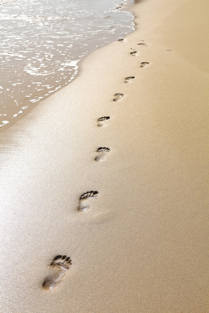 Spuren im Sand Foto & Bild | urlaub, sea, meer Bilder auf fotocommunity
