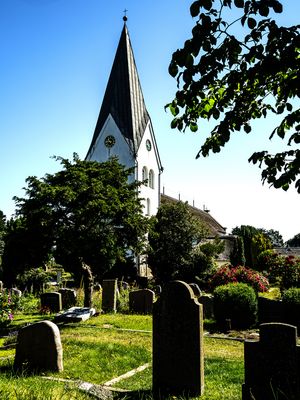 Amrum Bilder & Fotos