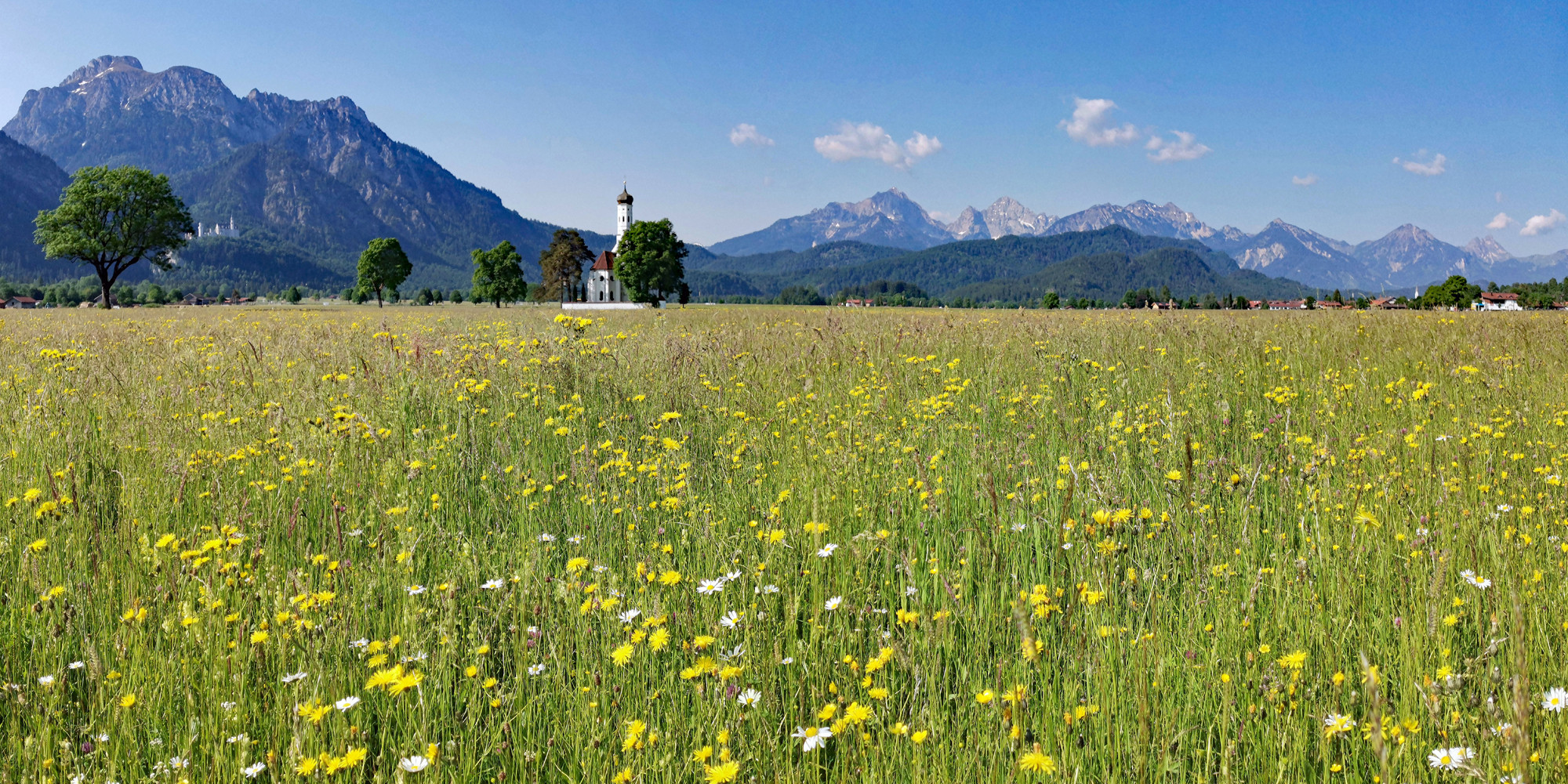 St. Coloman im Blütenmeer! Foto & Bild | kirche, landschaft, berge ...