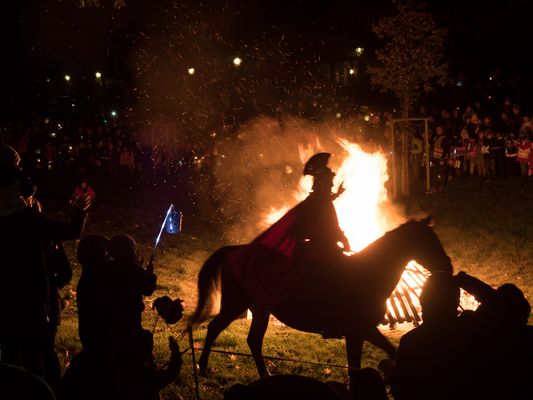 Martini- und Martinstag Bilder & Fotos