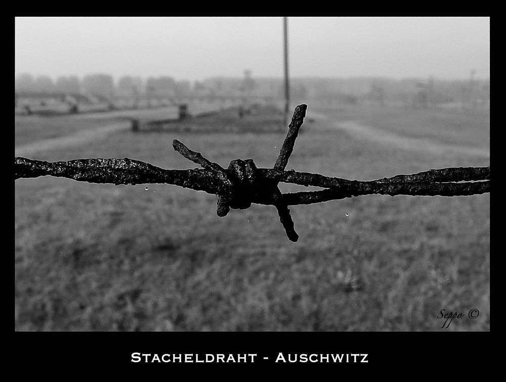 Stacheldraht Foto & Bild | reportage dokumentation, krieg und seine ...