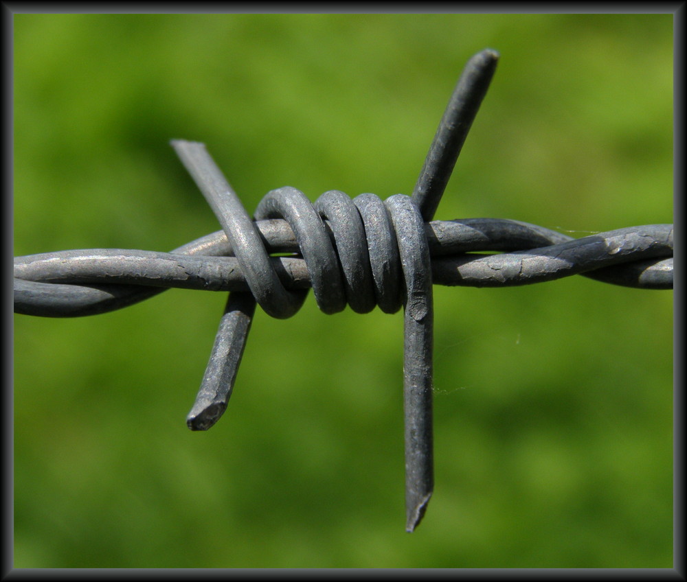 Stacheldraht Foto & Bild | architektur, stadtmöbel, zäune mauern Bilder ...