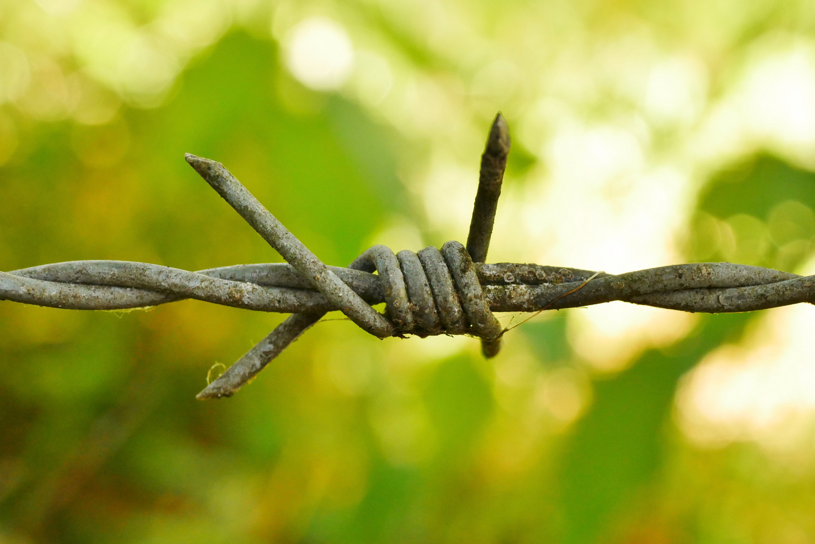 Stacheldraht Foto & Bild | landschaft, zäune, bänke, wegweiser & co ...