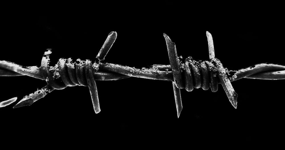 Stacheldraht Foto & Bild | landschaft, zäune, bänke, wegweiser & co ...