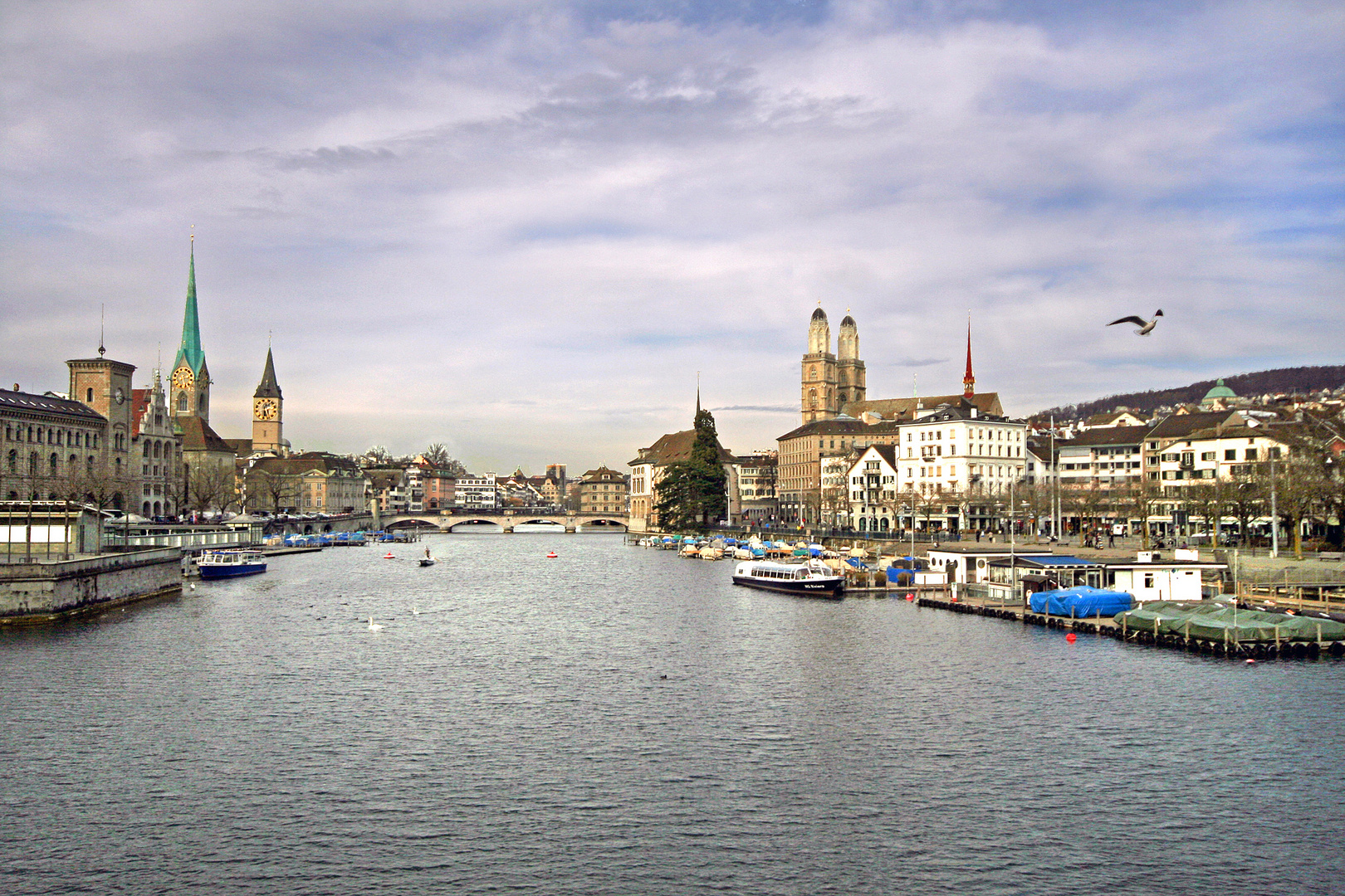Stadt Zürich, schönste Aussicht Foto & Bild | zürich, grossmünster ...