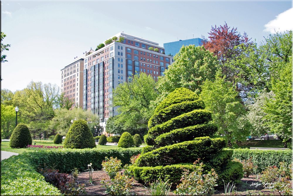 Stadtpark in Boston im Frühling Foto & Bild | north america, united ...