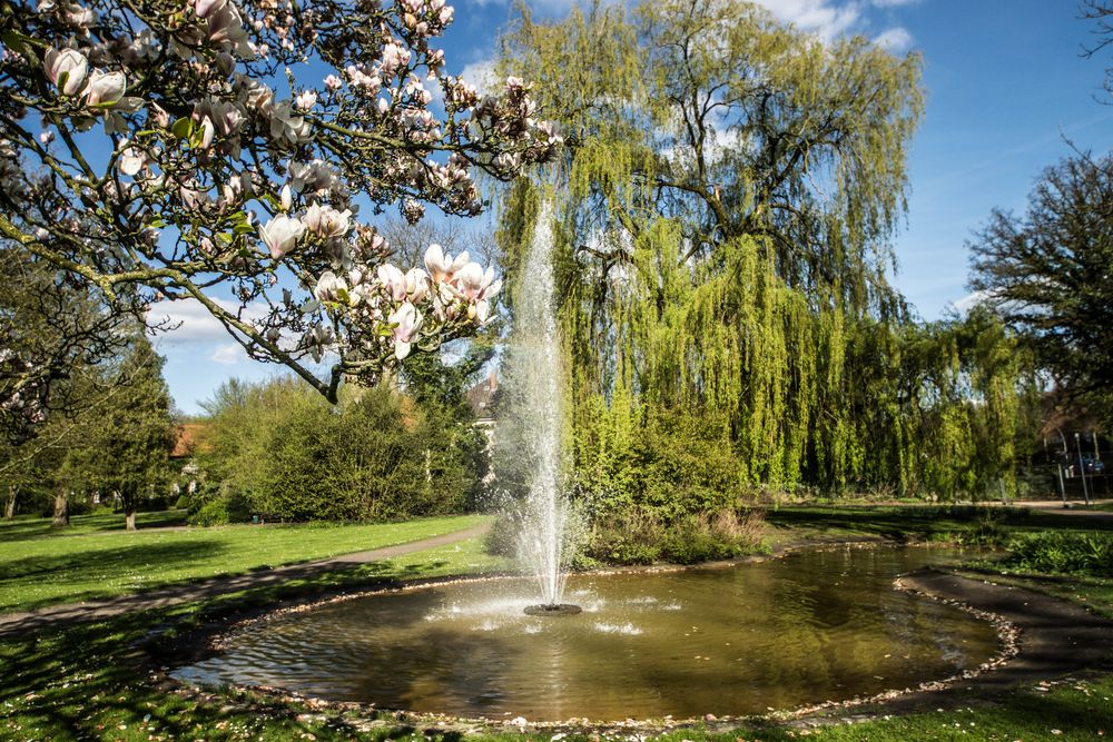 Stadtpark in Zeven Foto & Bild | landschaft, landschaften, natur Bilder ...