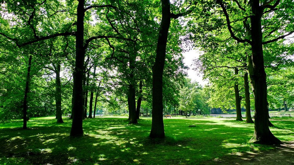 Stadtwald - Rheydt Foto & Bild | deutschland, europe, nordrhein ...