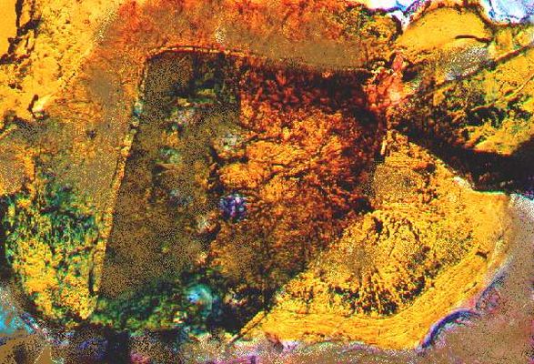 Michael Emmert - Fotos & Bilder - Fotograf aus Bad Neustadt ...