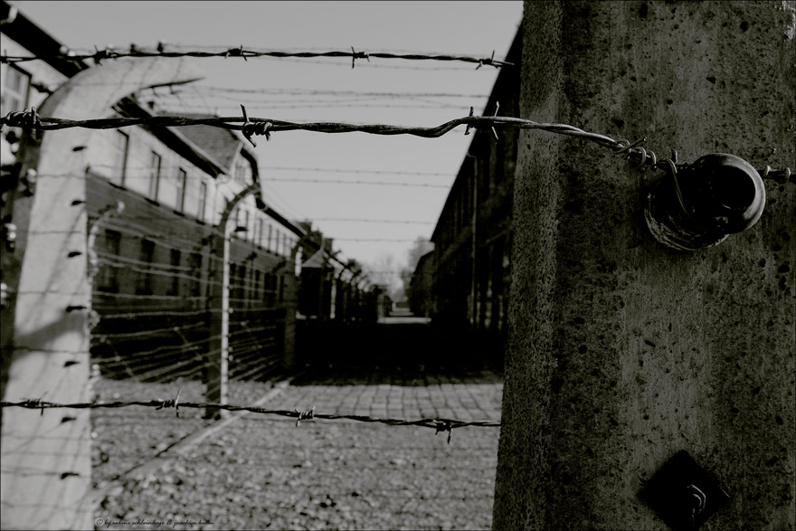 stammlager auschwitz . . . Foto & Bild | reportage dokumentation, (zeit ...