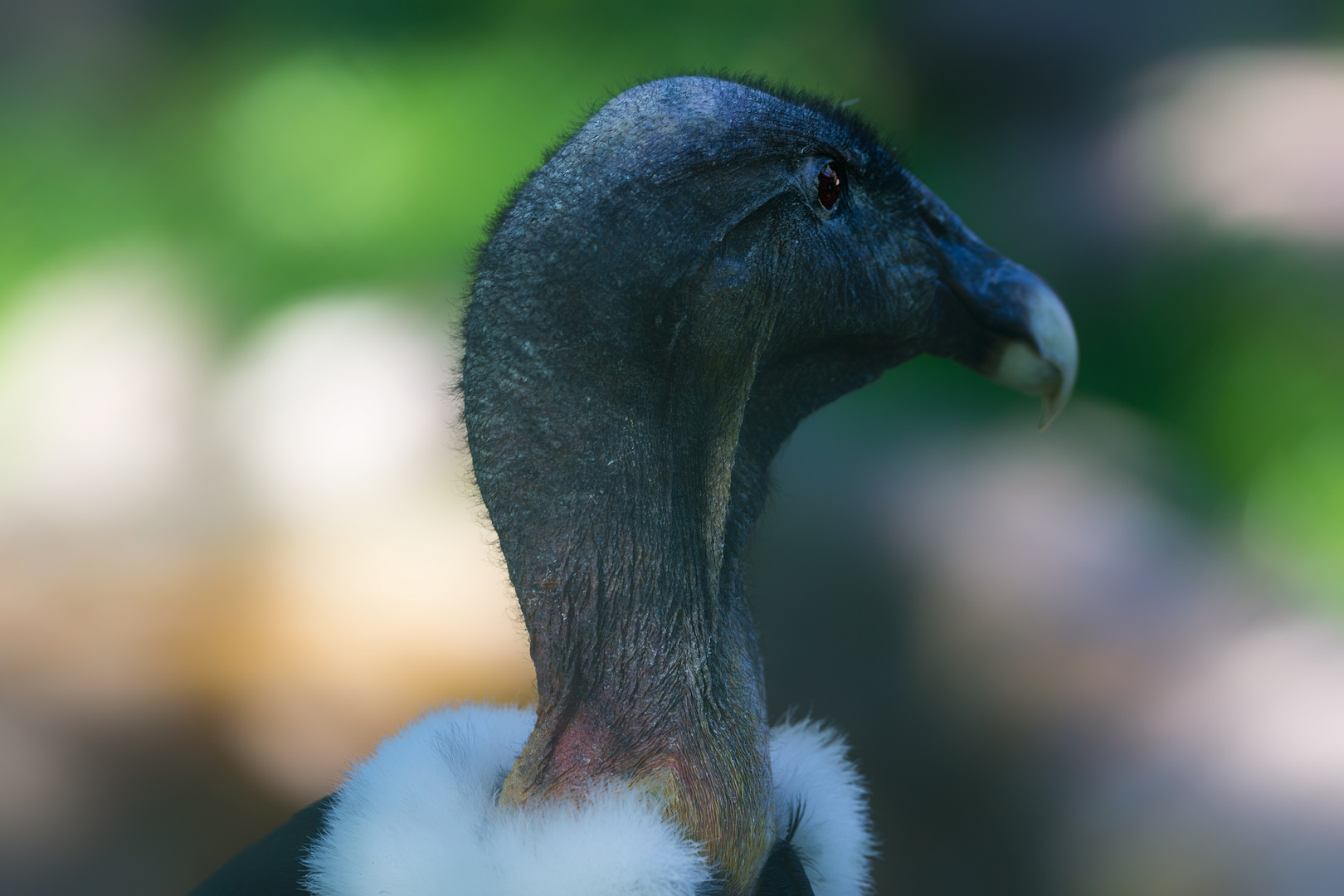 Stan... Foto & Bild | fotos, outdoor, licht Bilder auf fotocommunity