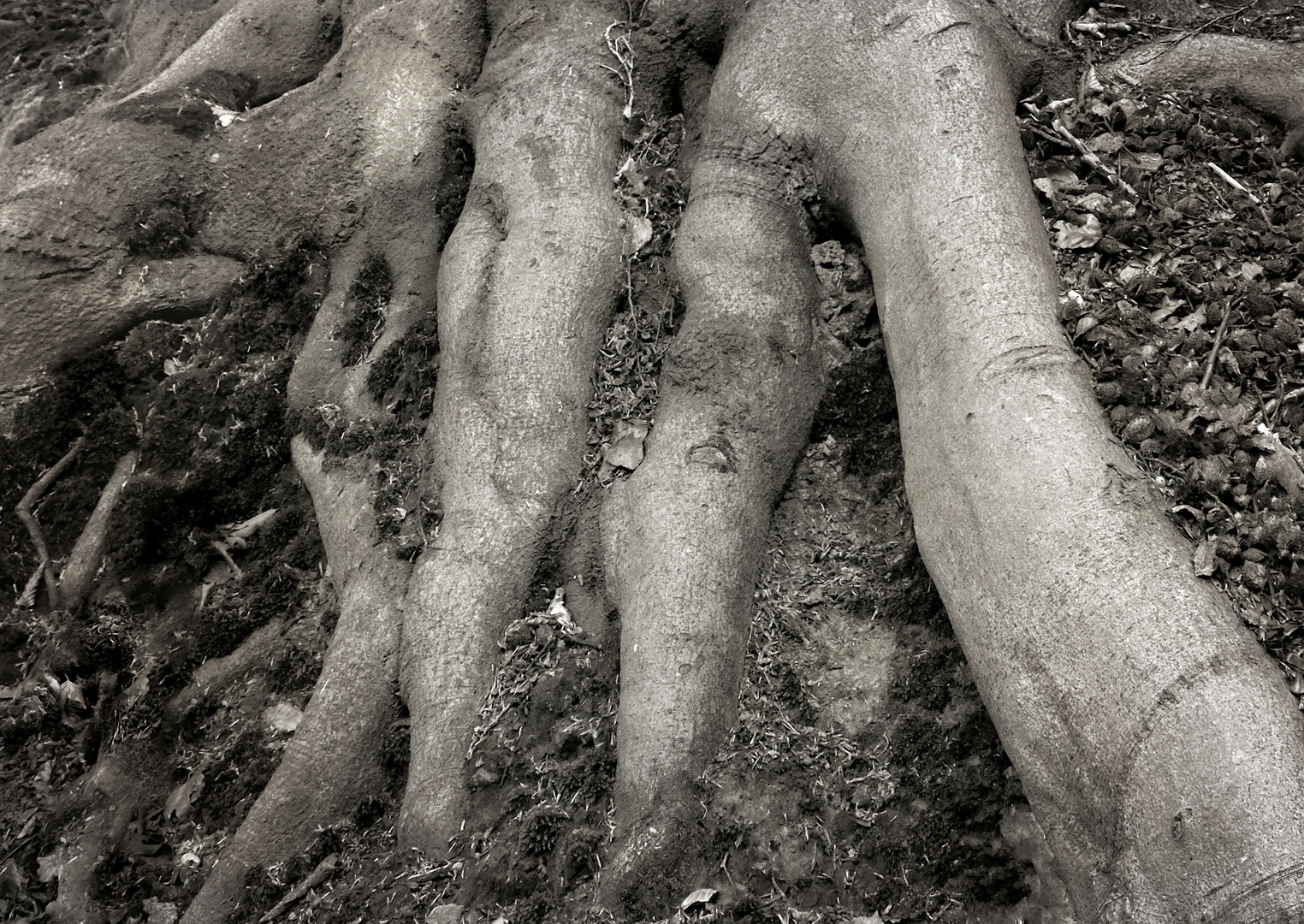 standhaft Foto & Bild | landschaft, lebensräume, fotokunst Bilder auf ...