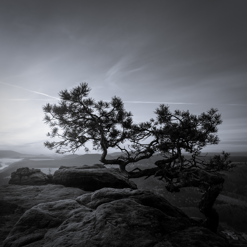 - Standhaft - Foto & Bild | landschaft, berge, gipfel und grate Bilder ...
