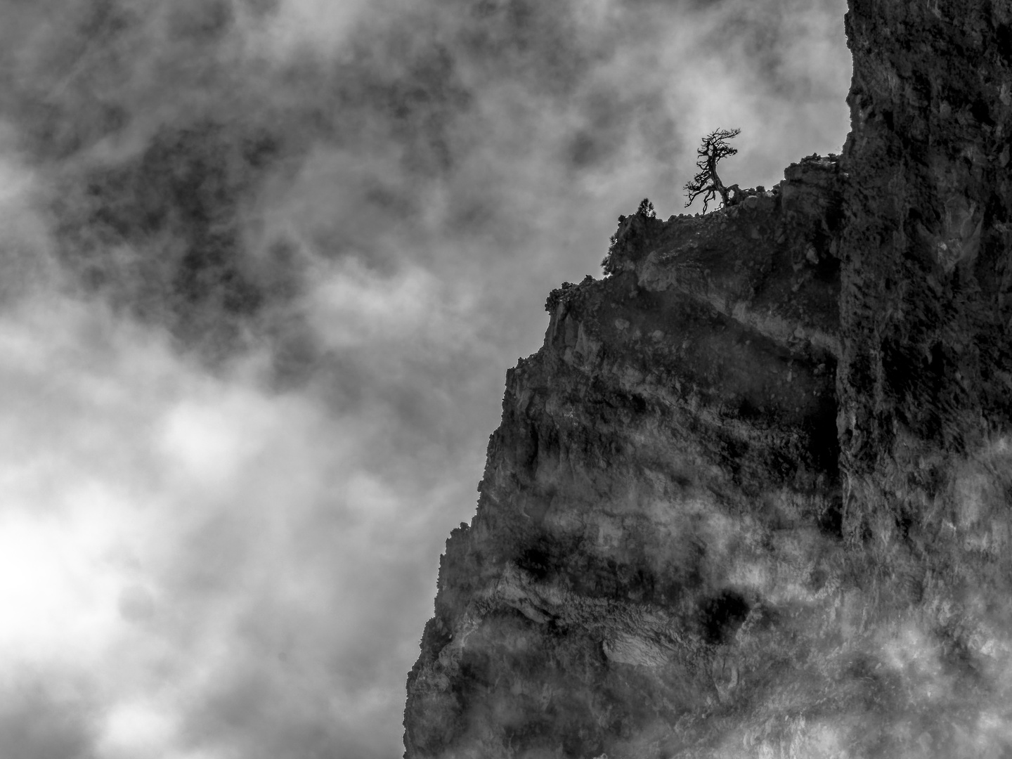 Standhaft Foto & Bild | wolken, baum, s-w Bilder auf fotocommunity