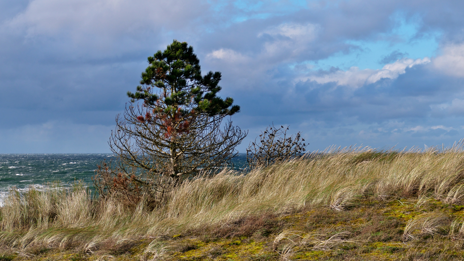 Standhaft... Foto & Bild | world, oktober, outdoor Bilder auf fotocommunity