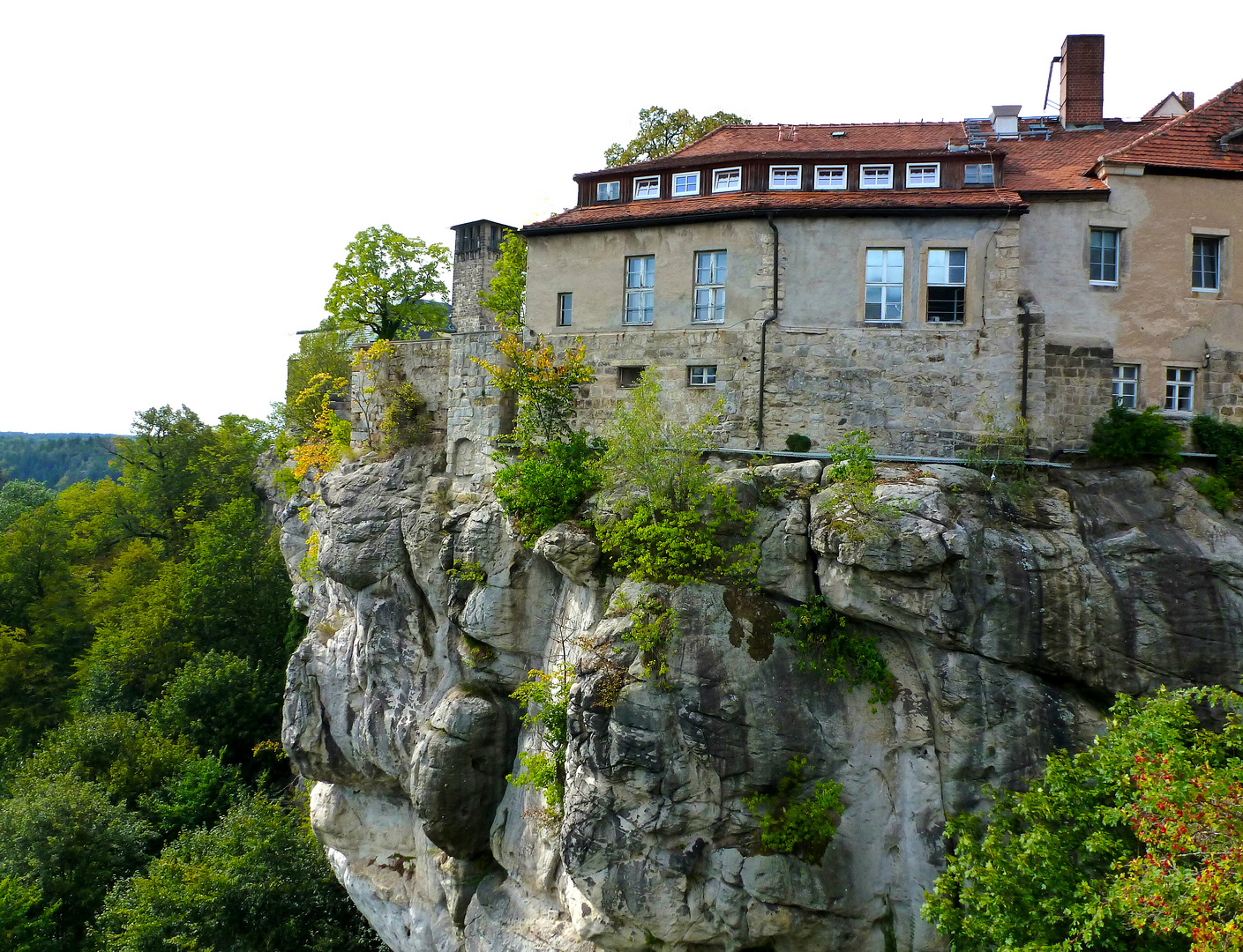 Standhaft... Foto & Bild | sandstein, sächsische schweiz, polenztal ...