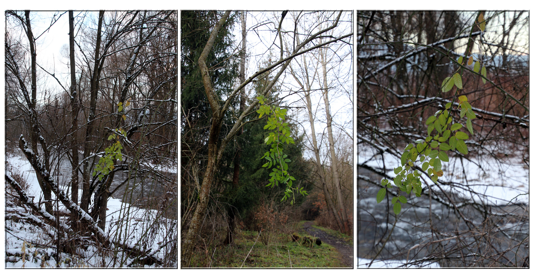 standhaft Foto & Bild | spezial, natur, landschaft Bilder auf fotocommunity