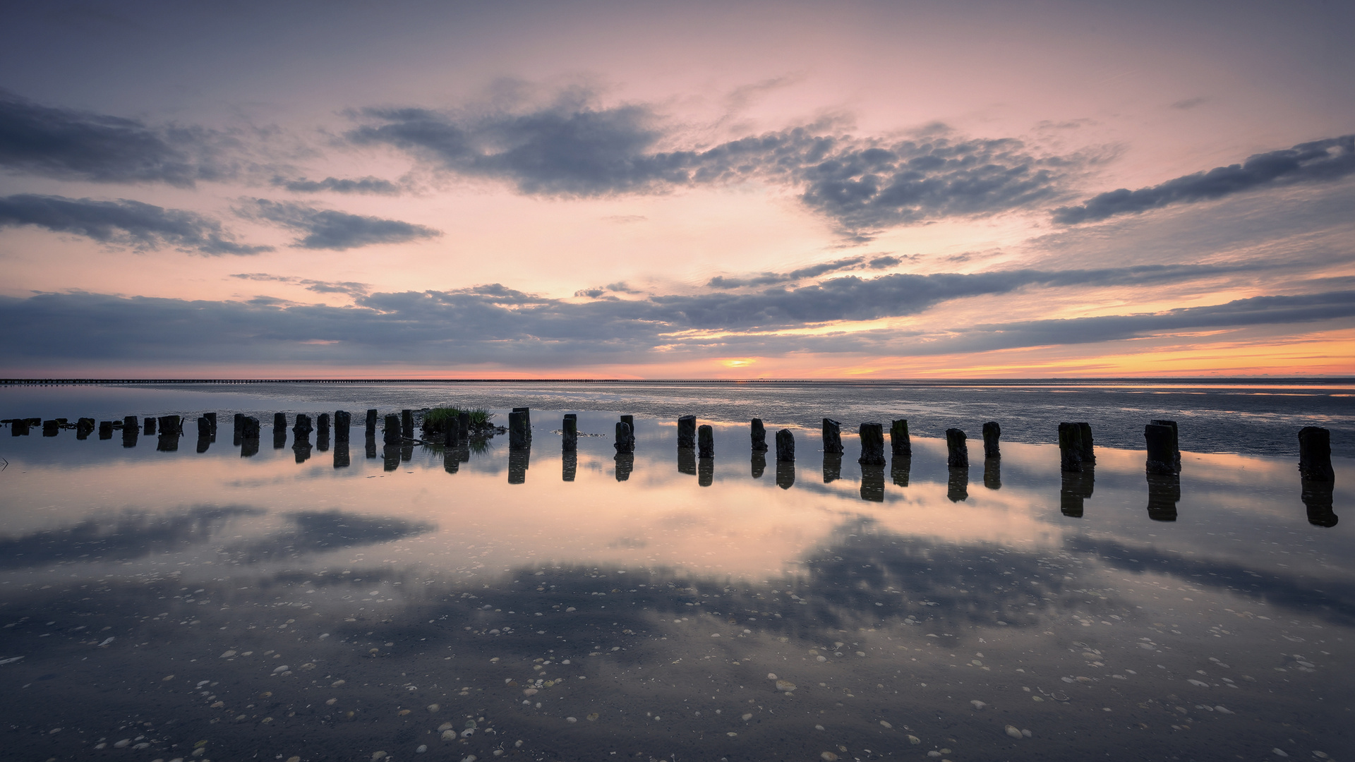 ...standhaft... Foto & Bild | world, meer, natur Bilder auf fotocommunity