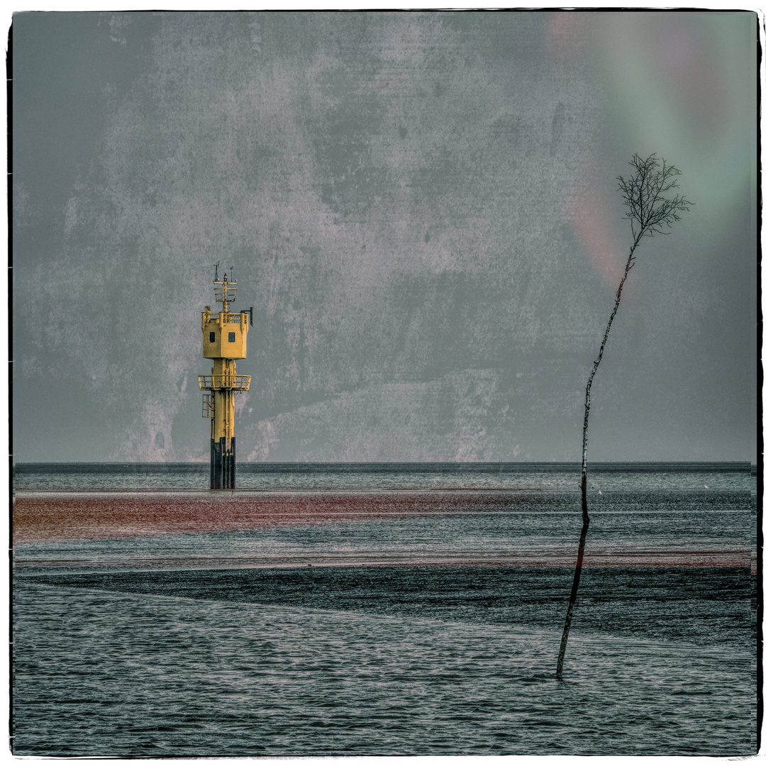 Standhaft Foto & Bild | baum, gelb, paar Bilder auf fotocommunity