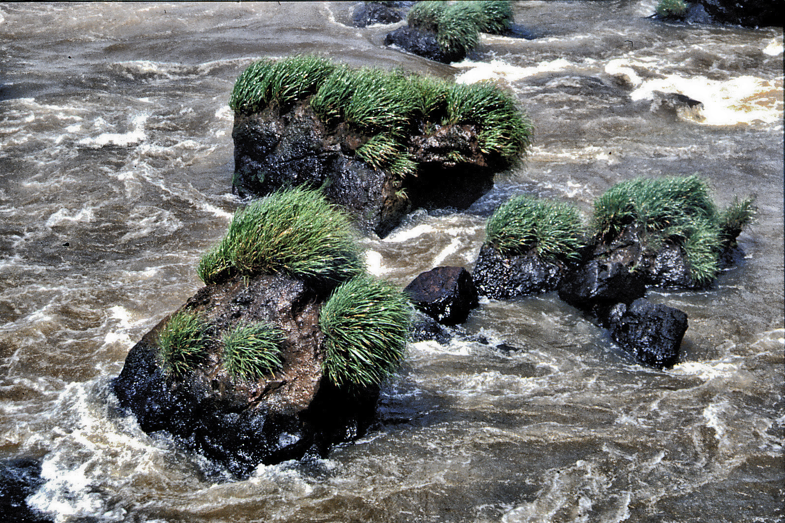 STANDHAFT...... Foto & Bild | spezial, natur, landschaft Bilder auf ...