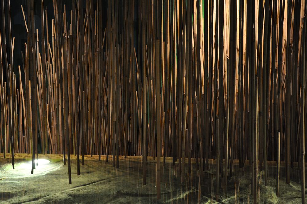 Stangen Foto & Bild | sonstiges, naturkunst, stillleben Bilder auf ...