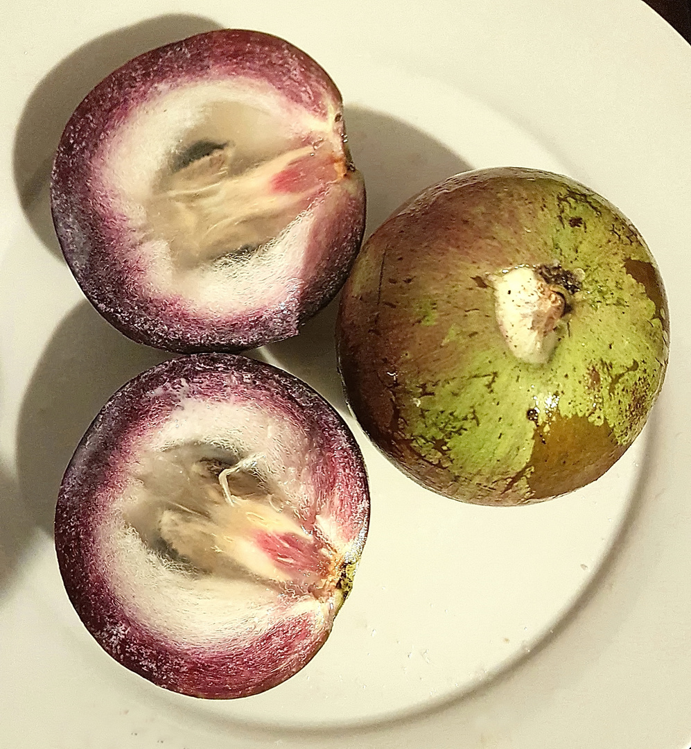 " Star Apfel " , Aklan - Panay 2018 Foto & Bild | world, philippinen ...