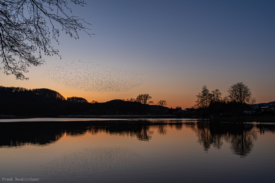 Stare Foto & Bild | sonne, wasser, natur Bilder auf fotocommunity