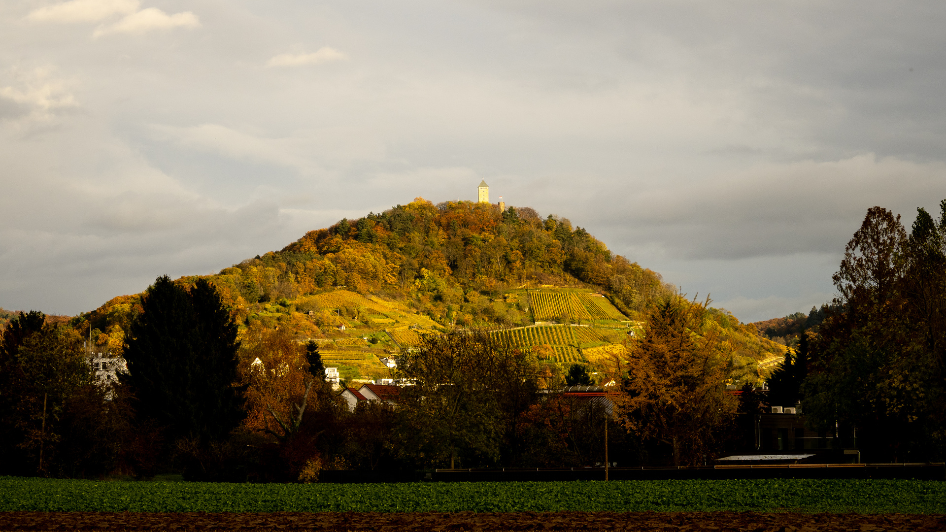 Starkenburg Foto & Bild | heppenheim, starkenburg Bilder auf fotocommunity