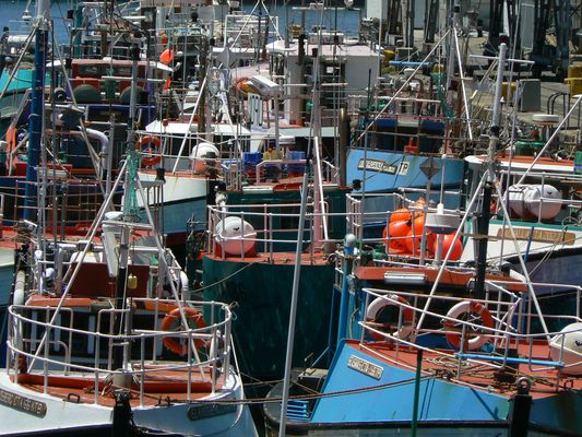 Grumling - Fotos & Bilder - Fotograf | fotocommunity