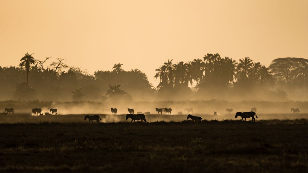 Staubig Foto & Bild | world, sonnenuntergang, africa Bilder auf ...