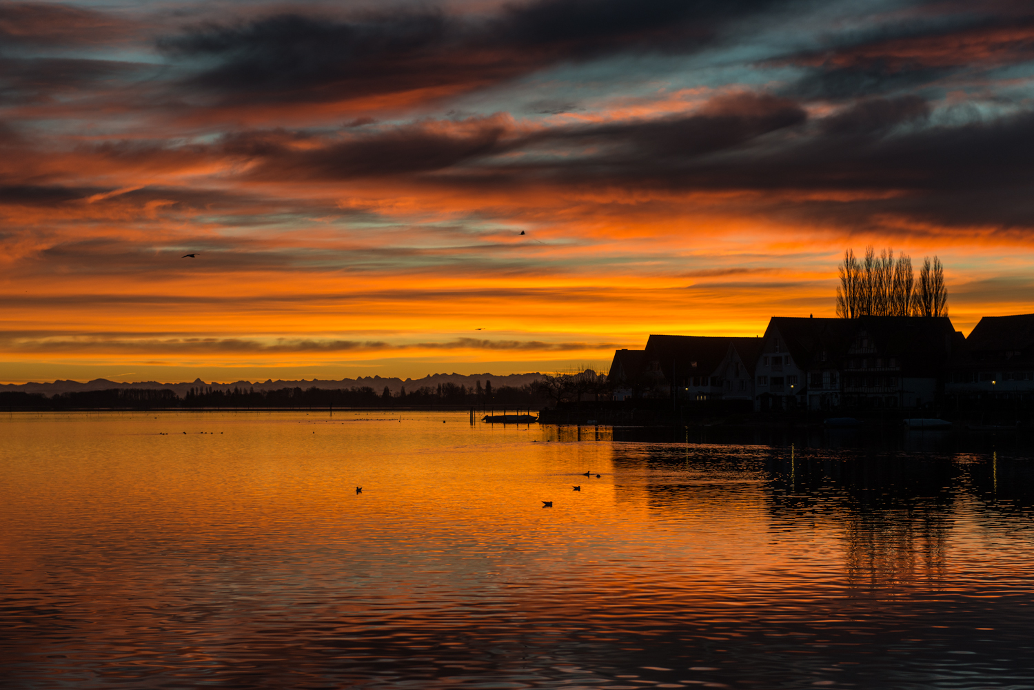 Stedi Ermatingen Foto & Bild | sonnenaufgänge, himmel & universum ...