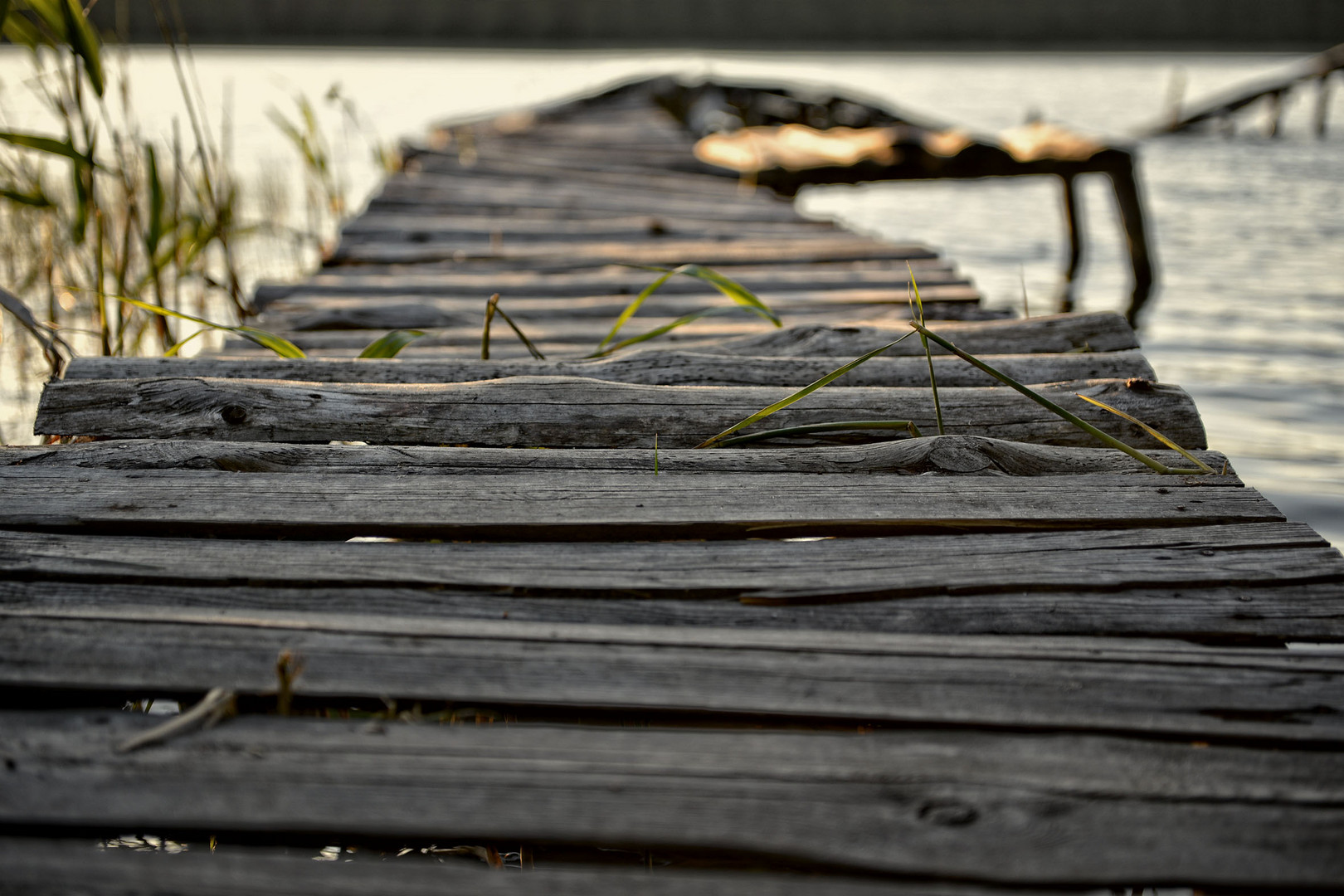 Steg Foto & Bild | landschaft, lebensräume, natur Bilder auf fotocommunity