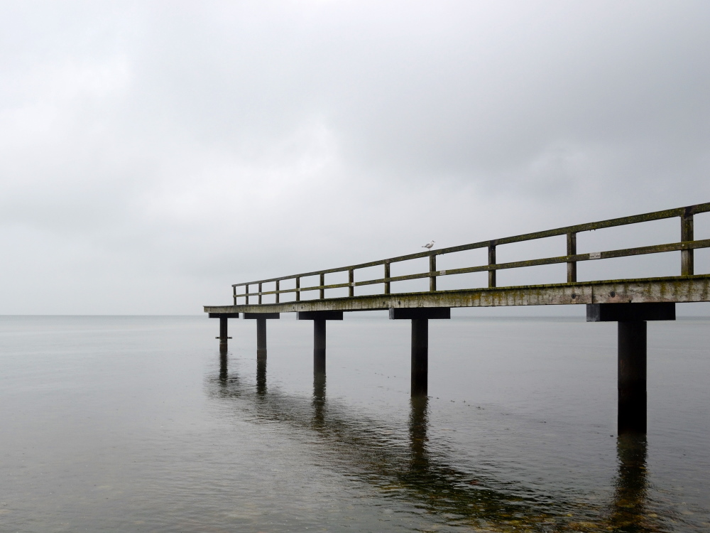Steg Foto & Bild | landschaft, wege und pfade, steg Bilder auf ...