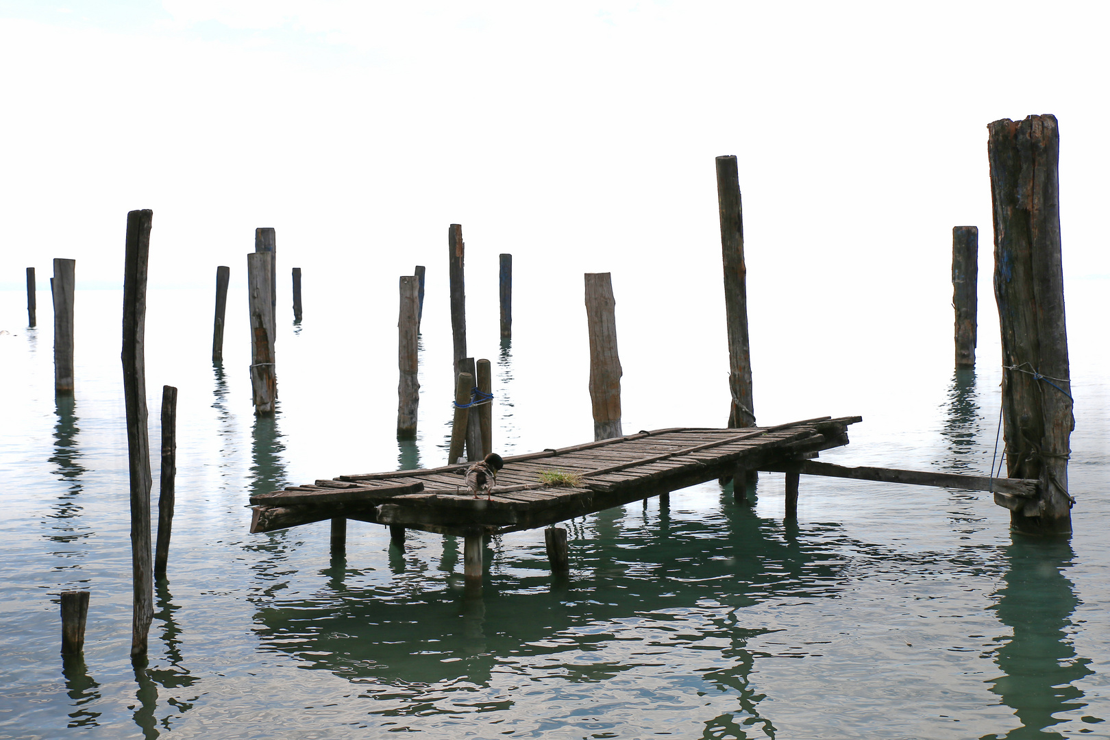 Steg am See Foto & Bild | stillleben, landschaft, rückkehr der natur ...