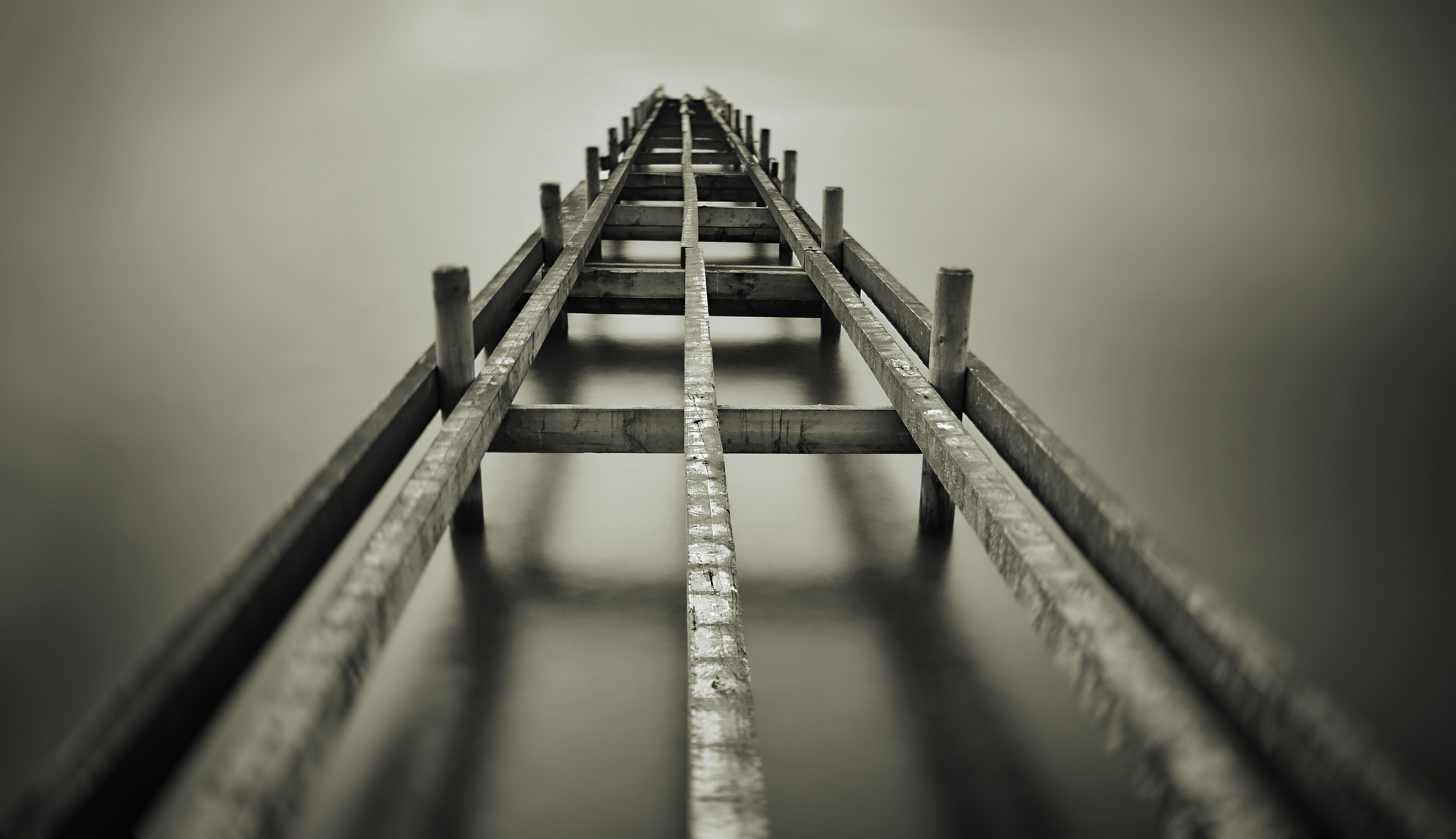 Stege im Steinhuder Meer Foto & Bild | deutschland, europe ...