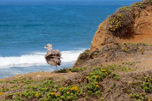 Natur, Naturbilder, Naturfotografie