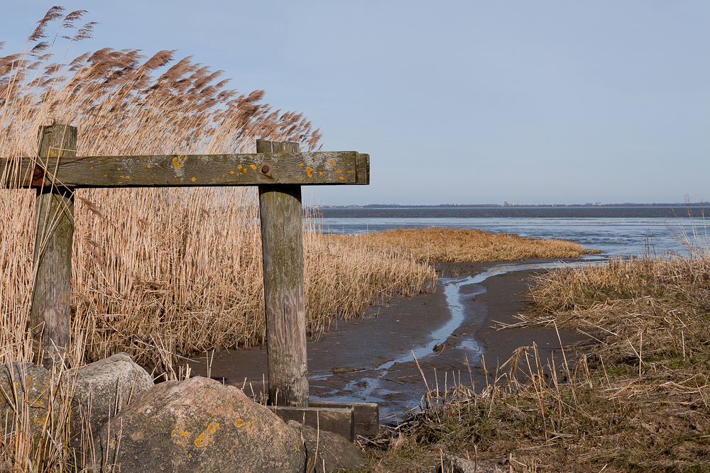 Steife Brise Foto & Bild | landschaft, meer & strand, watt Bilder auf ...