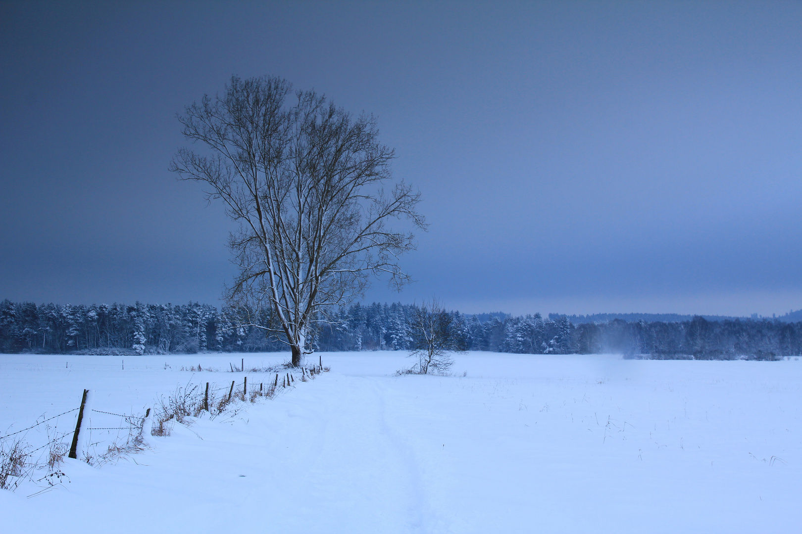 Steife Brise Foto & Bild | jahreszeiten, winter, landschaft Bilder auf ...