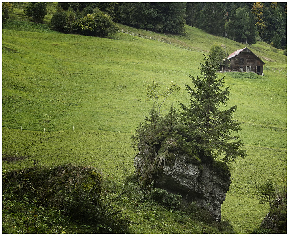 Steil bergauf... Foto & Bild | landschaft, lebensräume, natur Bilder ...