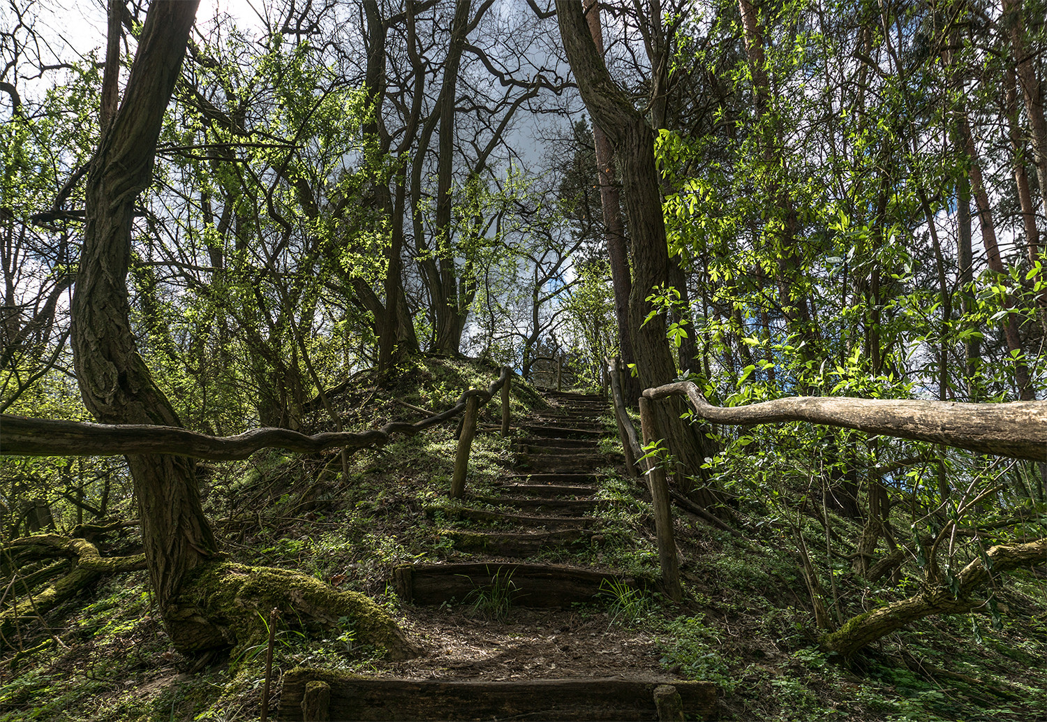 steiler Aufstieg Foto & Bild | brandenburg, natur, landscape Bilder auf ...