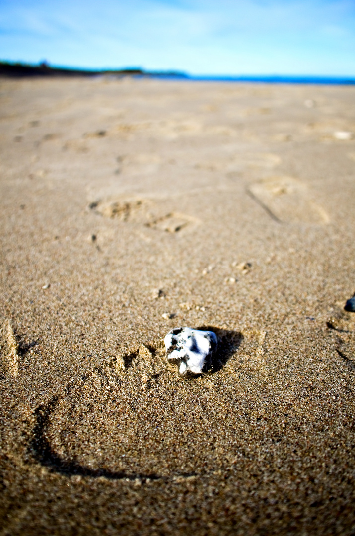 Stein am Strand Foto & Bild | landschaft, meer & strand, landschaften ...