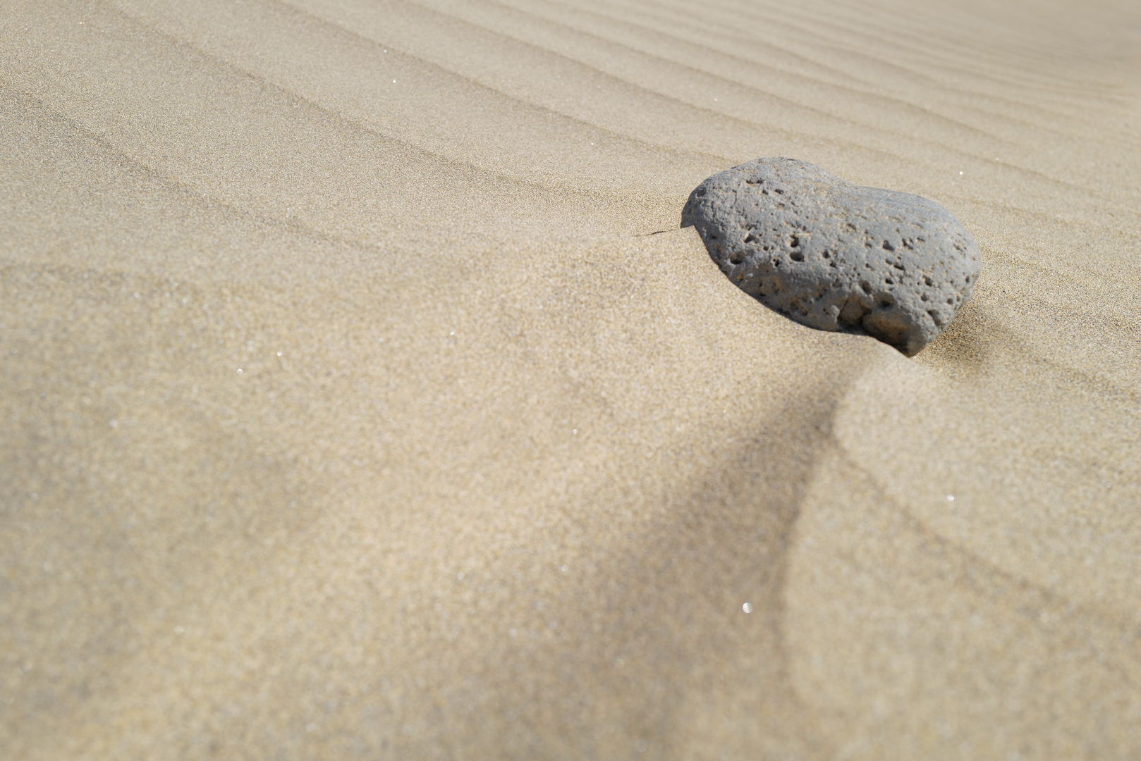 Stein am Strand Foto & Bild | Bilder auf fotocommunity