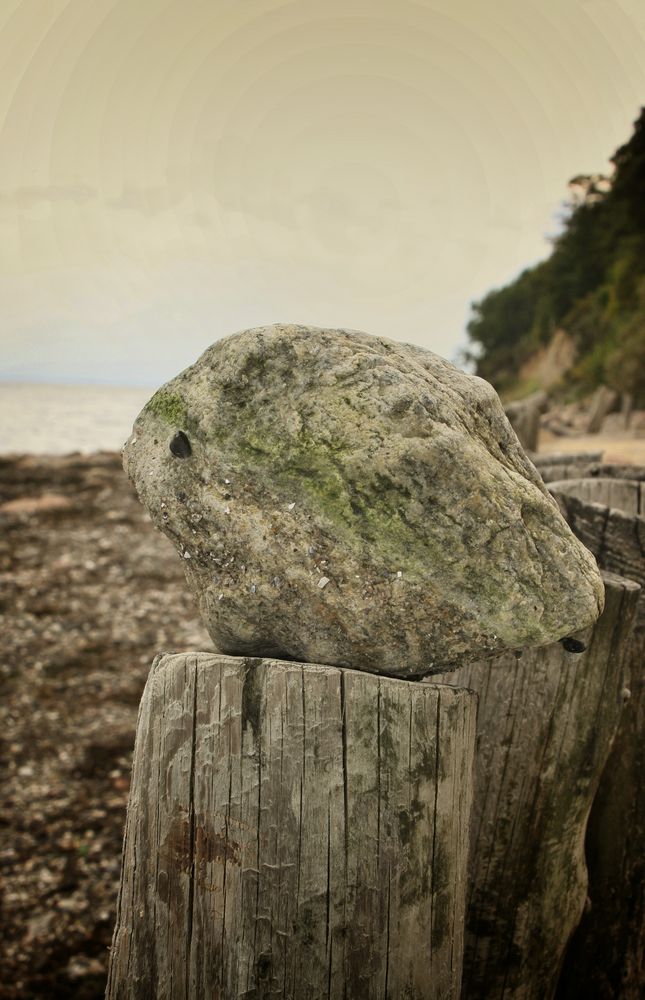 Stein am Strand Foto & Bild | landschaft, meer & strand, natur Bilder ...