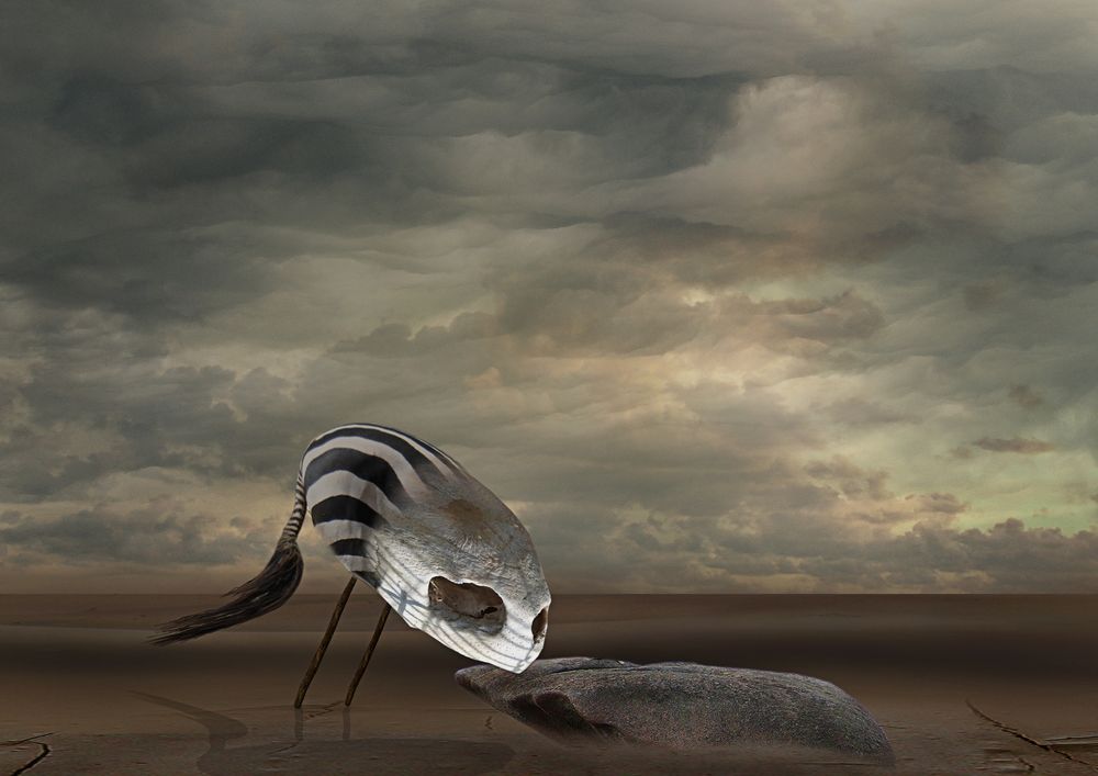 Stein der Weisen Foto & Bild | fotomontage, surreal, natur Bilder auf fotocommunity