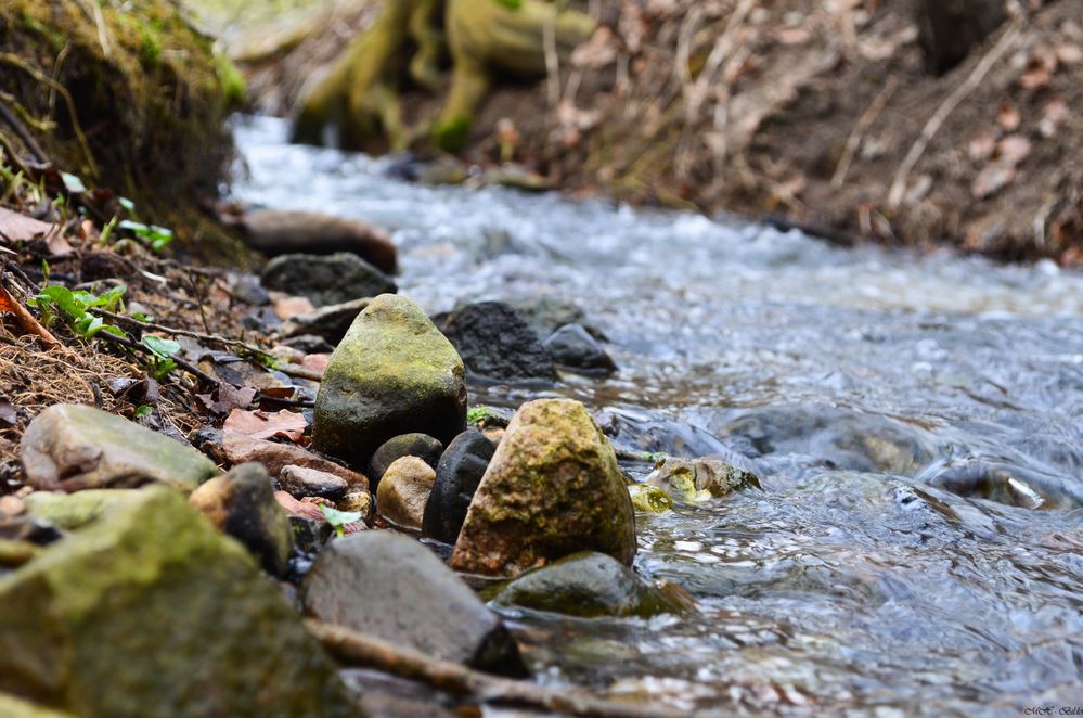 Steine am Fluss Foto & Bild | landschaft, bach, fluss & see, natur ...