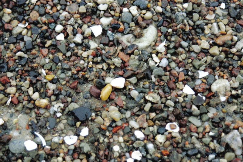 Steine und Muscheln am Strand Foto & Bild | landschaft, meer & strand ...