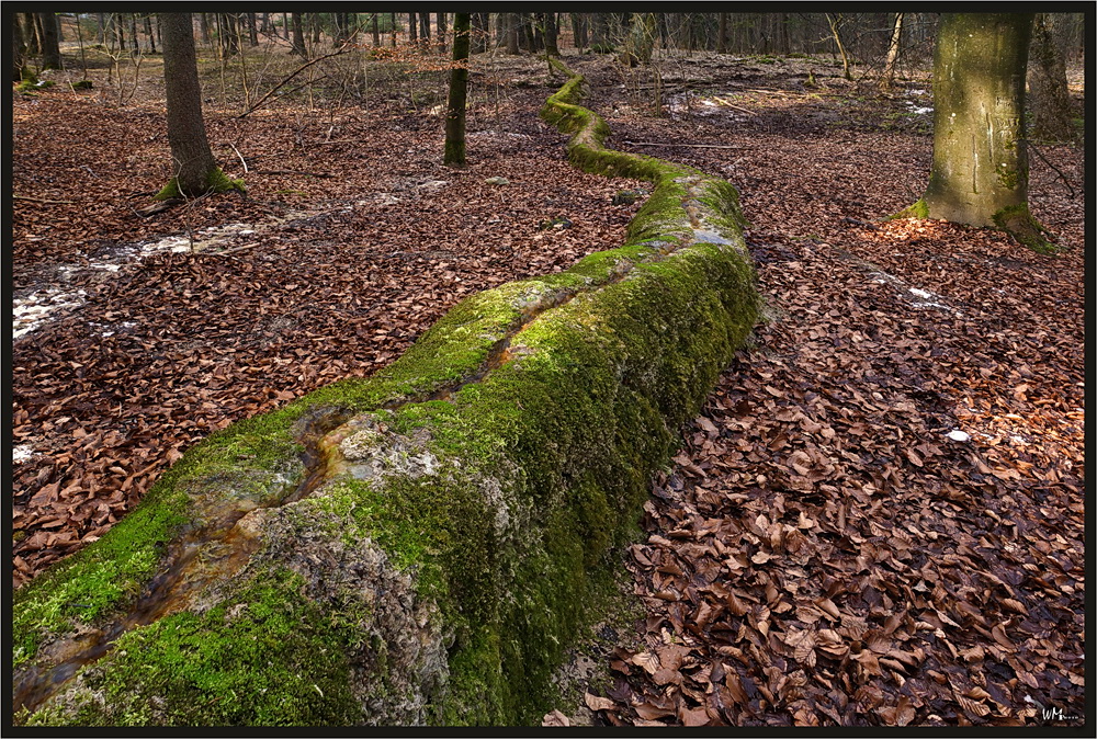 Steinerne Rinne Erasbach Foto & Bild | landschaft, bach, fluss & see ...