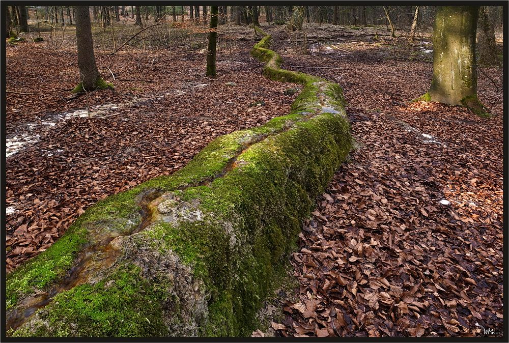Steinerne Rinne Erasbach Foto & Bild | landschaft, bach, fluss & see ...