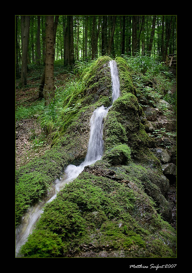Steinerne Rinne Wolfsbronn Foto & Bild | landschaft, bach, fluss & see ...